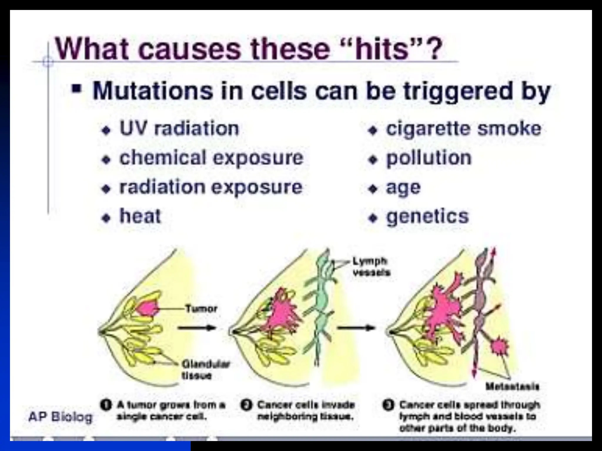 3-Cell-Cycle-Mitosis-and-Meiosis.ppt