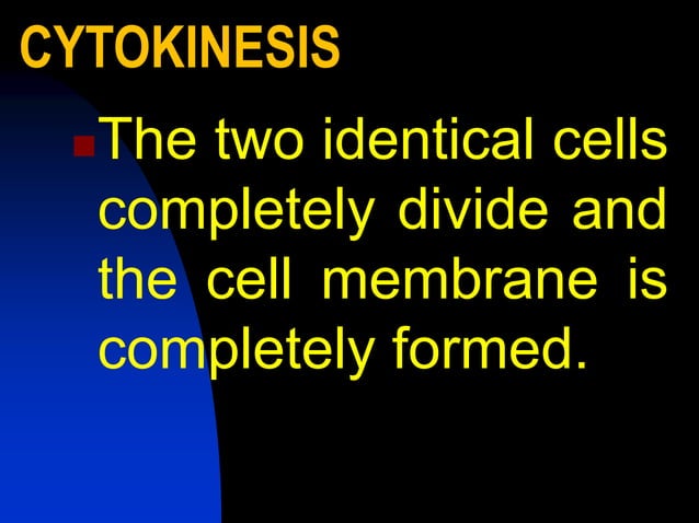 3-Cell-Cycle-Mitosis-and-Meiosis.ppt