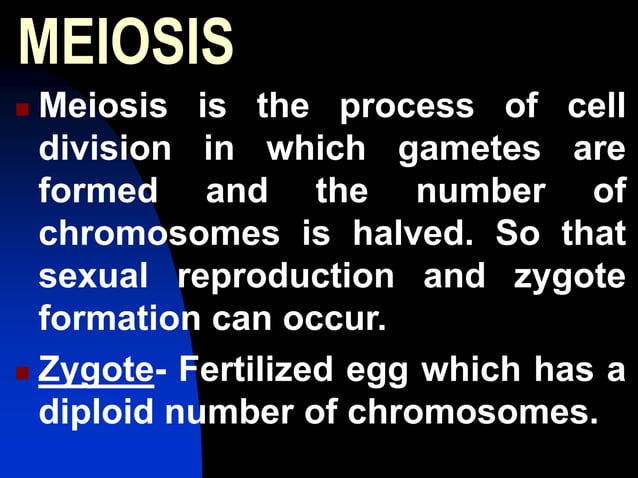3-Cell-Cycle-Mitosis-and-Meiosis.ppt