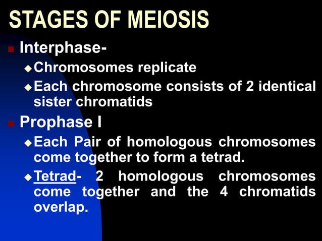3-Cell-Cycle-Mitosis-and-Meiosis.ppt