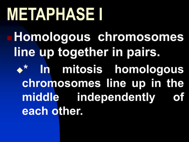 3-Cell-Cycle-Mitosis-and-Meiosis.ppt