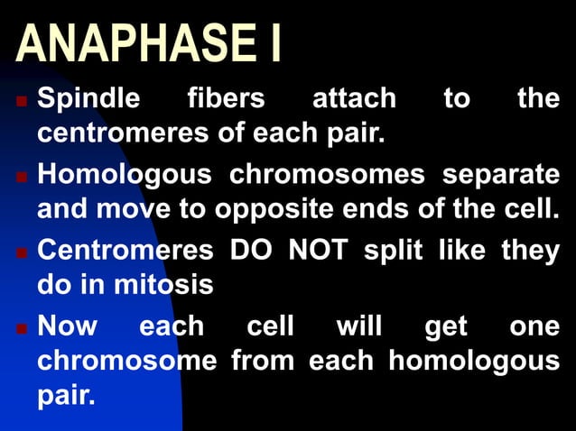 3-Cell-Cycle-Mitosis-and-Meiosis.ppt