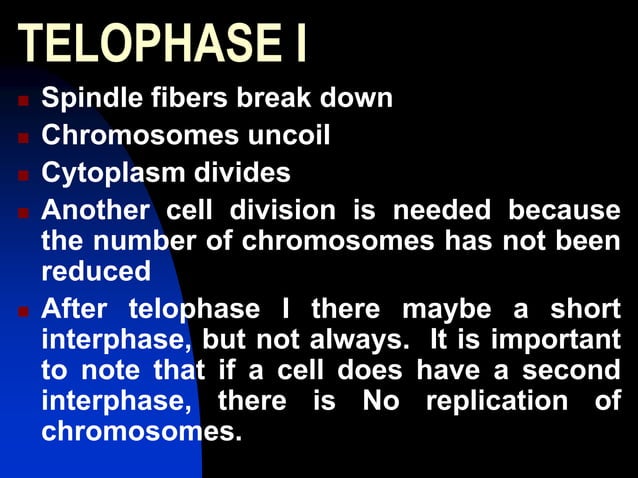 3-Cell-Cycle-Mitosis-and-Meiosis.ppt