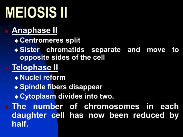 3-Cell-Cycle-Mitosis-and-Meiosis.ppt