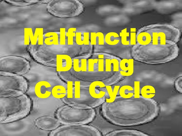 3-Cell-Cycle-Mitosis-and-Meiosis.ppt