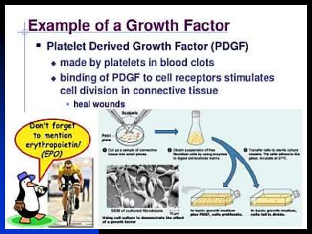 3-Cell-Cycle-Mitosis-and-Meiosis.ppt