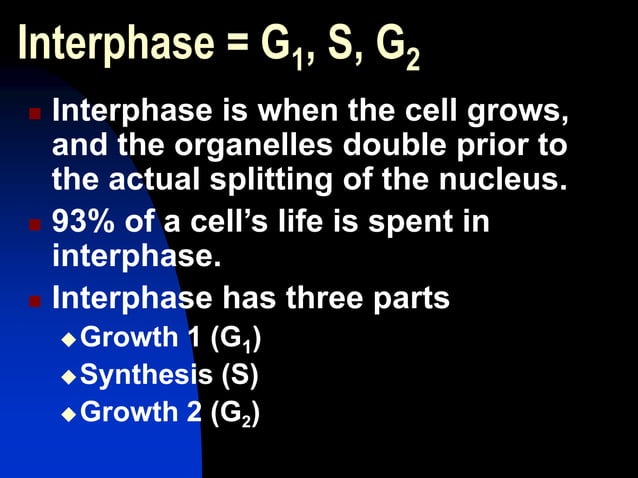 3-Cell-Cycle-Mitosis-and-Meiosis.ppt