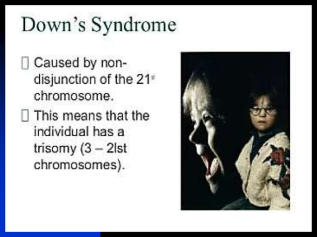 3-Cell-Cycle-Mitosis-and-Meiosis.ppt