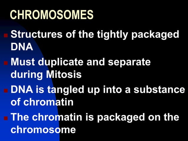 3-Cell-Cycle-Mitosis-and-Meiosis.ppt