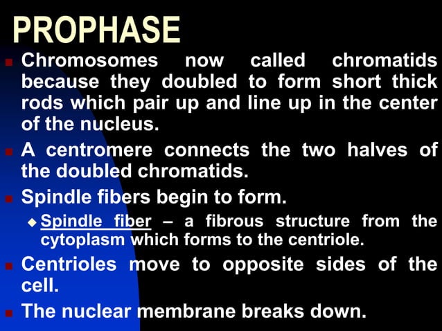 3-Cell-Cycle-Mitosis-and-Meiosis.ppt