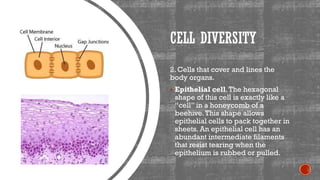3-CELLsssS-AND-TISSUESssssssssssssss.pdf
