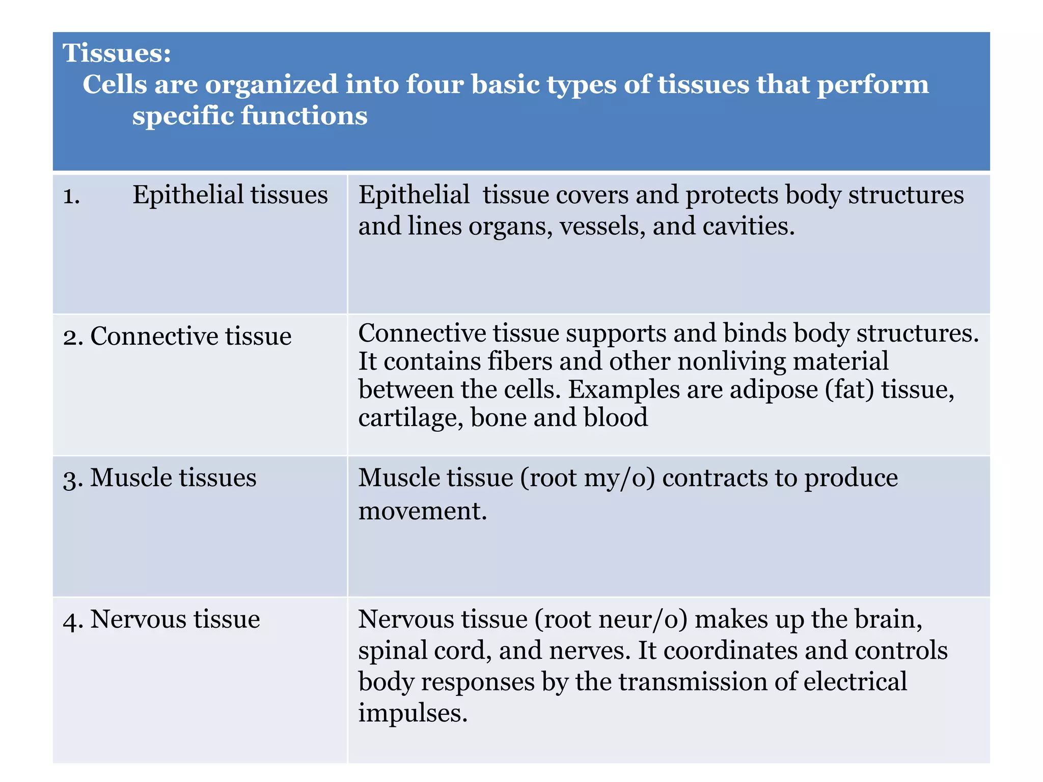 3 cells, tissues, and organs | PPTX