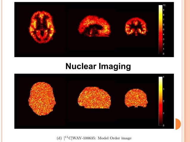 3. Cellular Aberration | PPTX