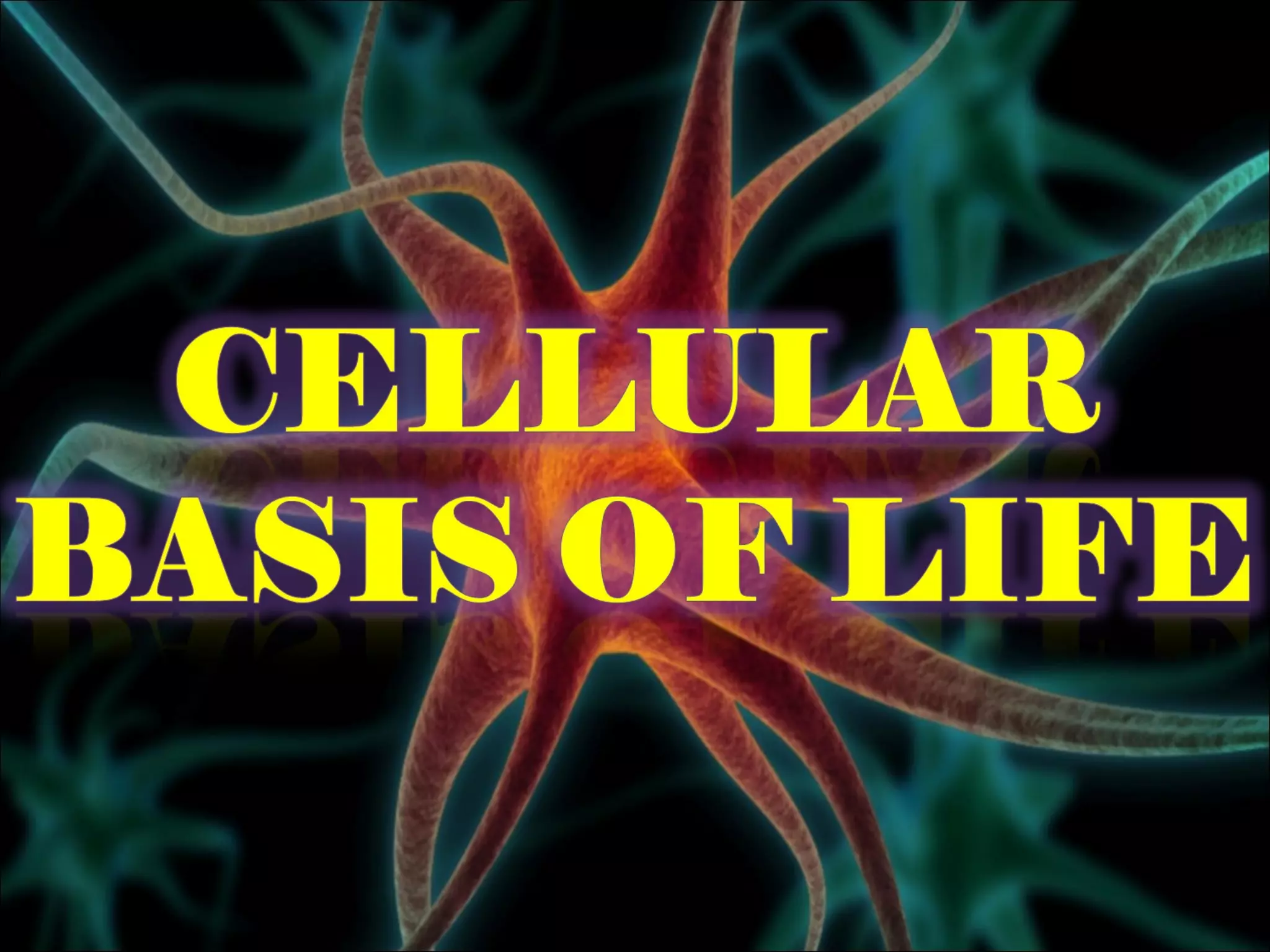3. cellular basis of life | PPT