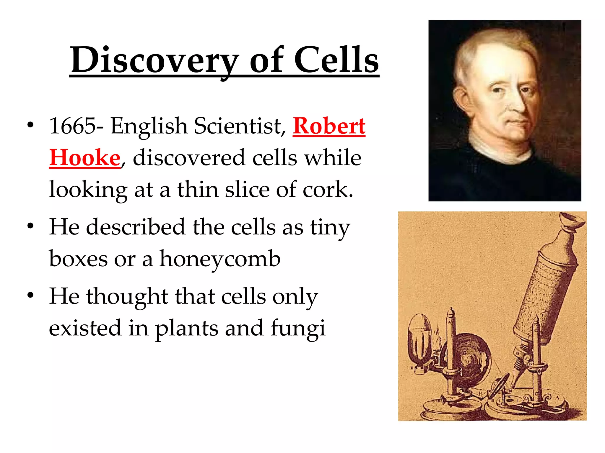 3. cellular basis of life | PPT