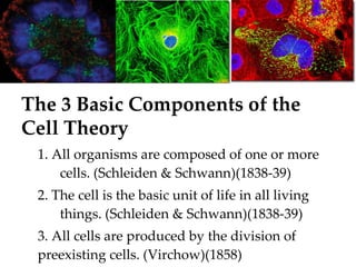 3. cellular basis of life | PPT