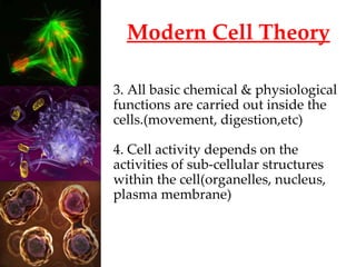 3. cellular basis of life | PPT