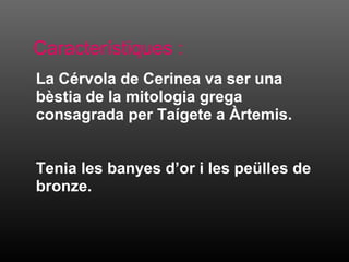 Cérvola de Cerínia | PPT
