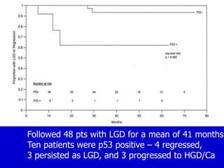 Endoscopy in Gastrointestinal Oncology - Slide 3 - A. Chak - Low-grade ...
