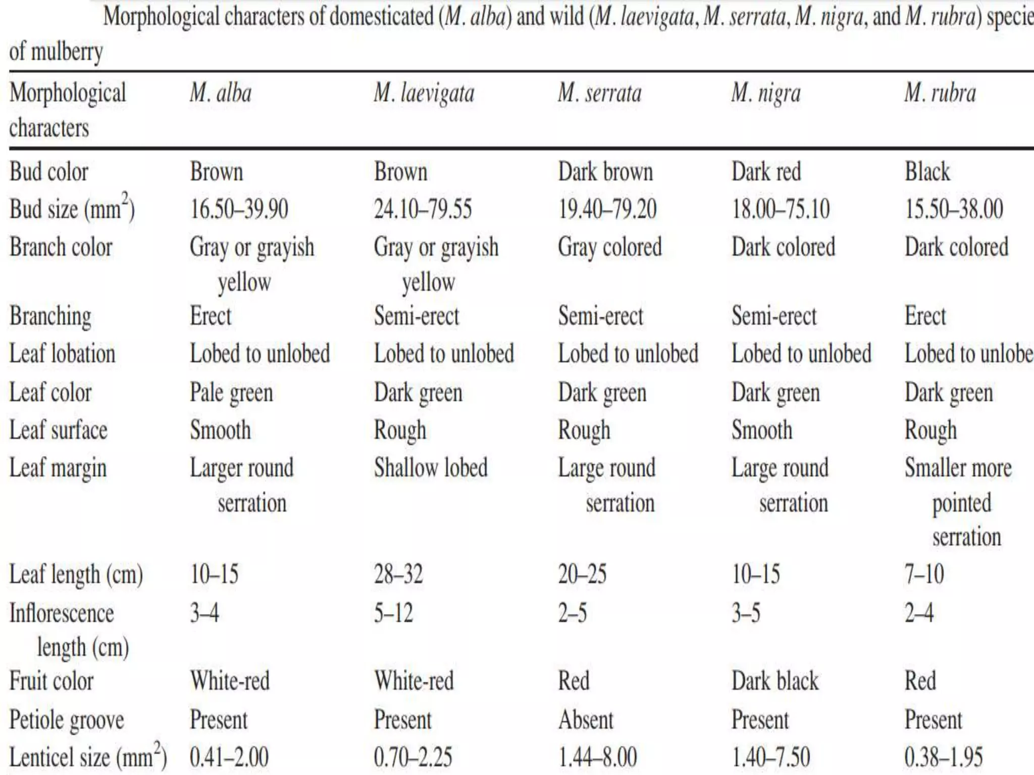 3 chapter moriculture | PPTX