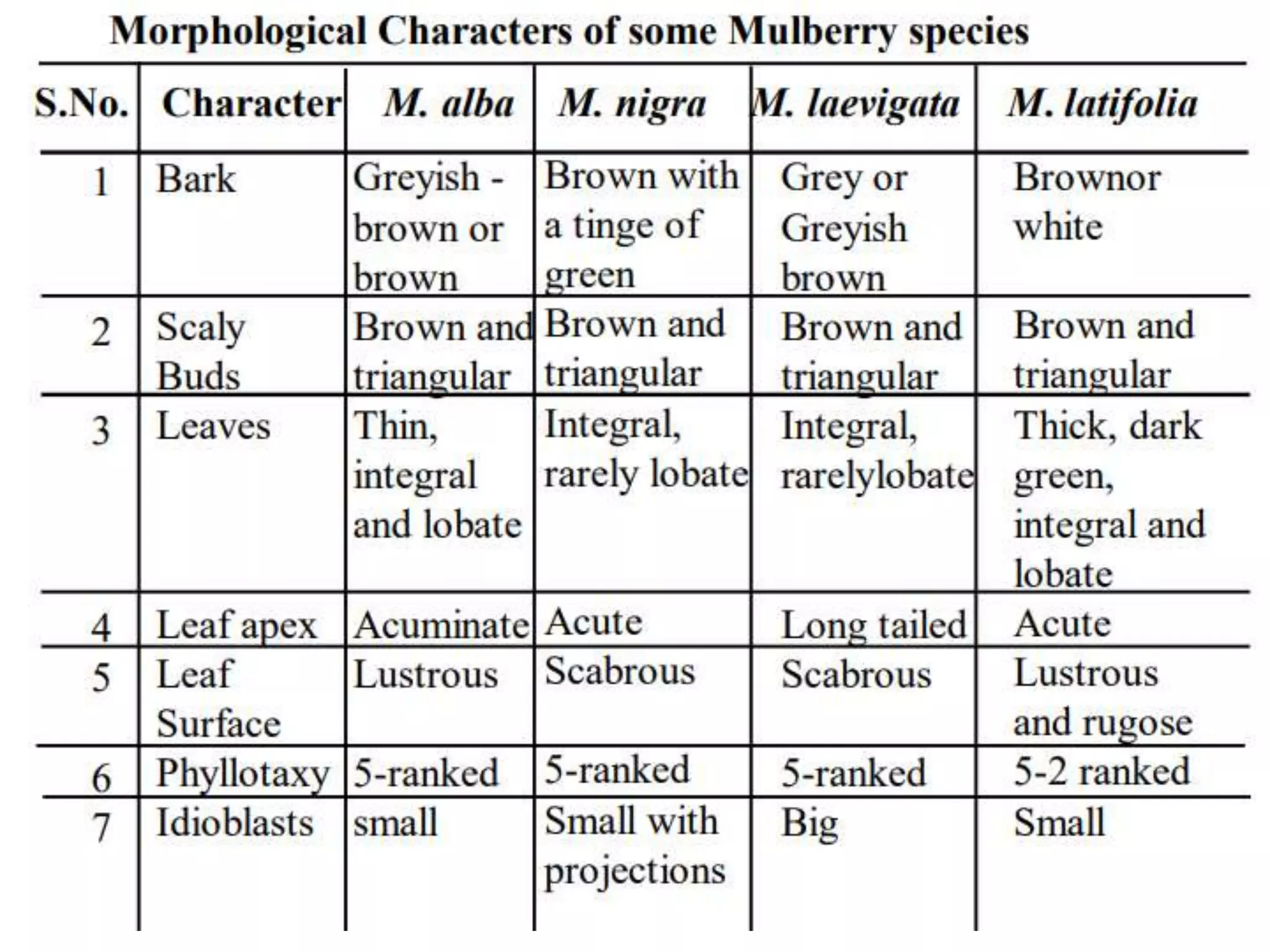 3 chapter moriculture | PPTX