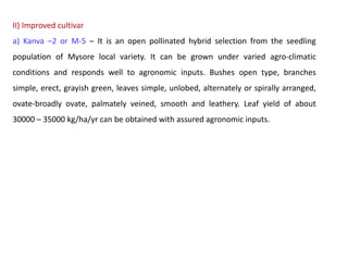 3 chapter moriculture | PPTX