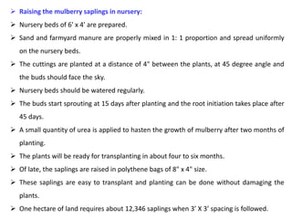 3 chapter moriculture | PPTX