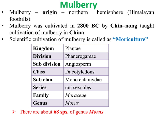 3 chapter moriculture | PPTX
