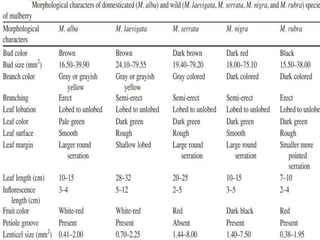 3 chapter moriculture | PPTX