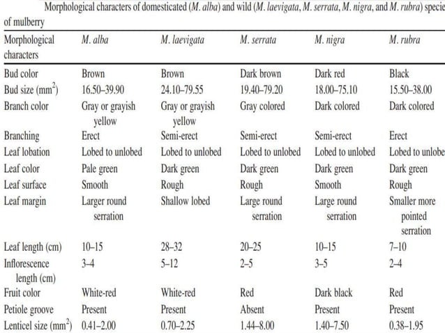 3 chapter moriculture | PPTX