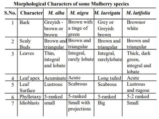 3 chapter moriculture | PPTX