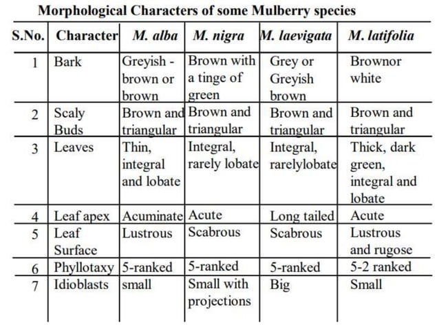 3 chapter moriculture | PPTX