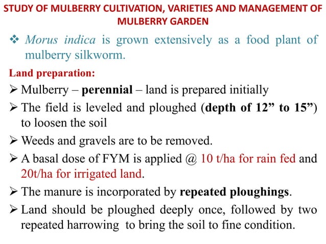 3 chapter moriculture | PPTX