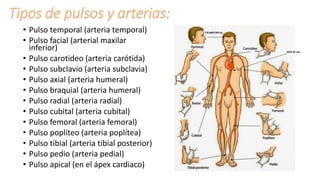 CLASE-SIGNOS VITALES.................... | PDF