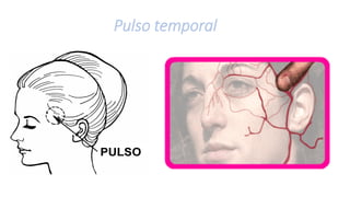 CLASE-SIGNOS VITALES.................... | PDF