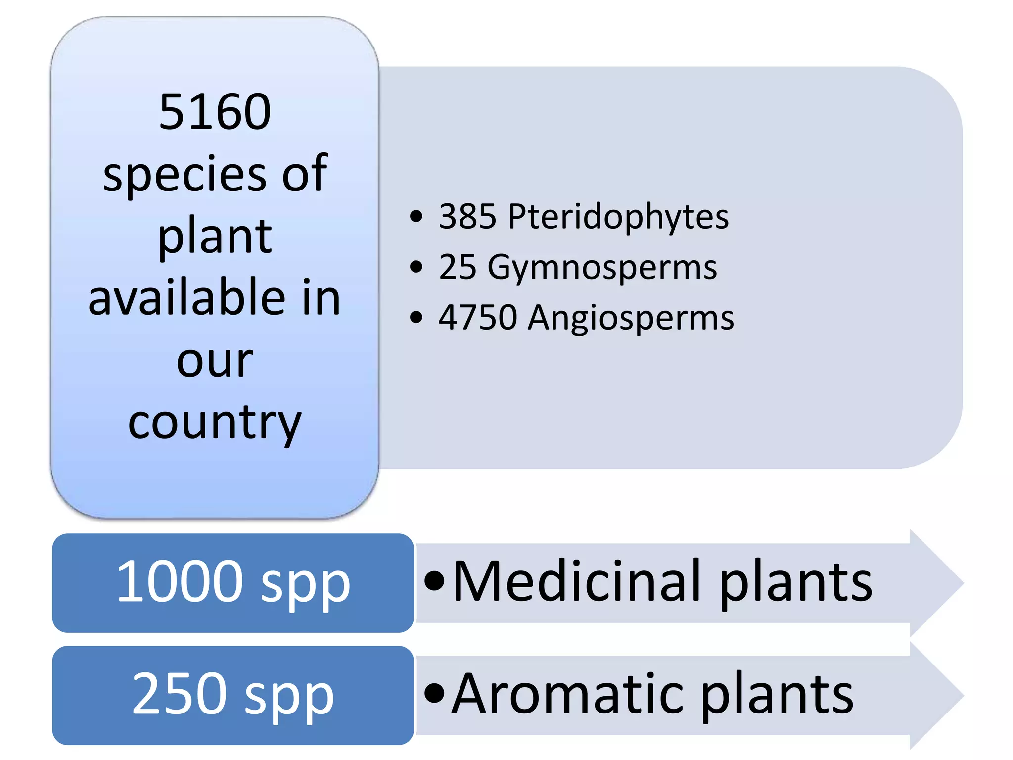 Classification of MAPs.pptx