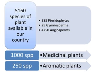 Classification of MAPs.pptx