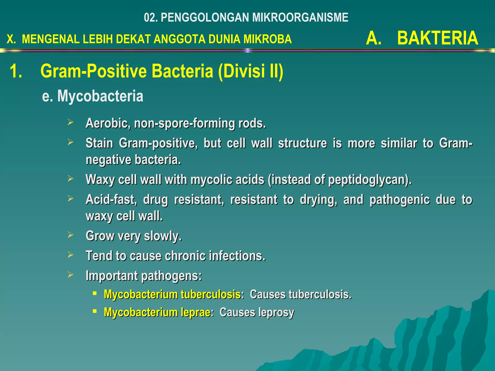 (3) classification of microorganisms | PPT | Digestive Disorders ...