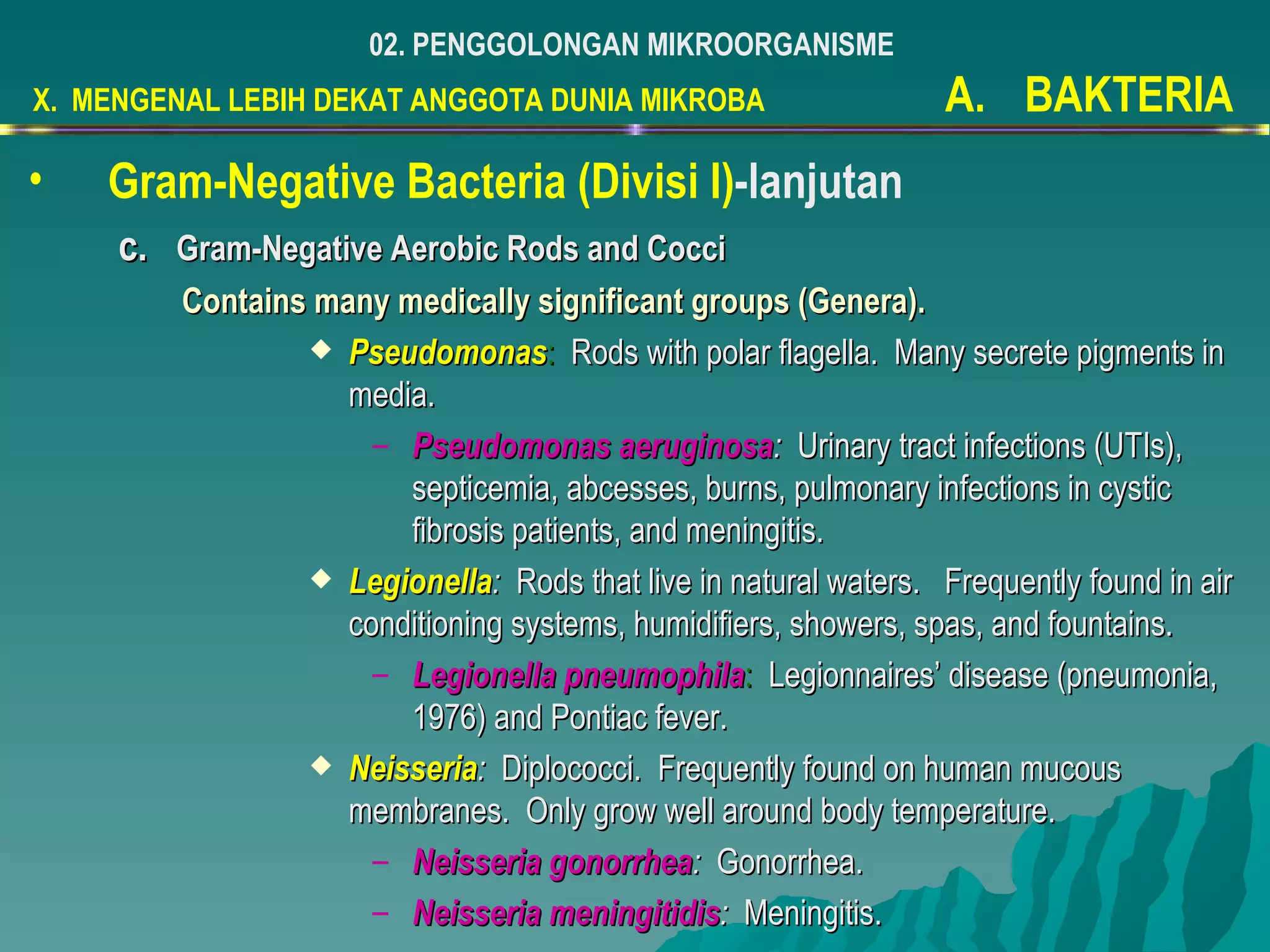 (3) classification of microorganisms | PPT | Digestive Disorders ...