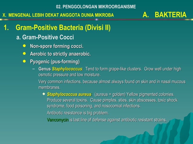 (3) classification of microorganisms | PPT | Digestive Disorders ...