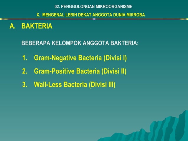 (3) classification of microorganisms | PPT | Digestive Disorders ...
