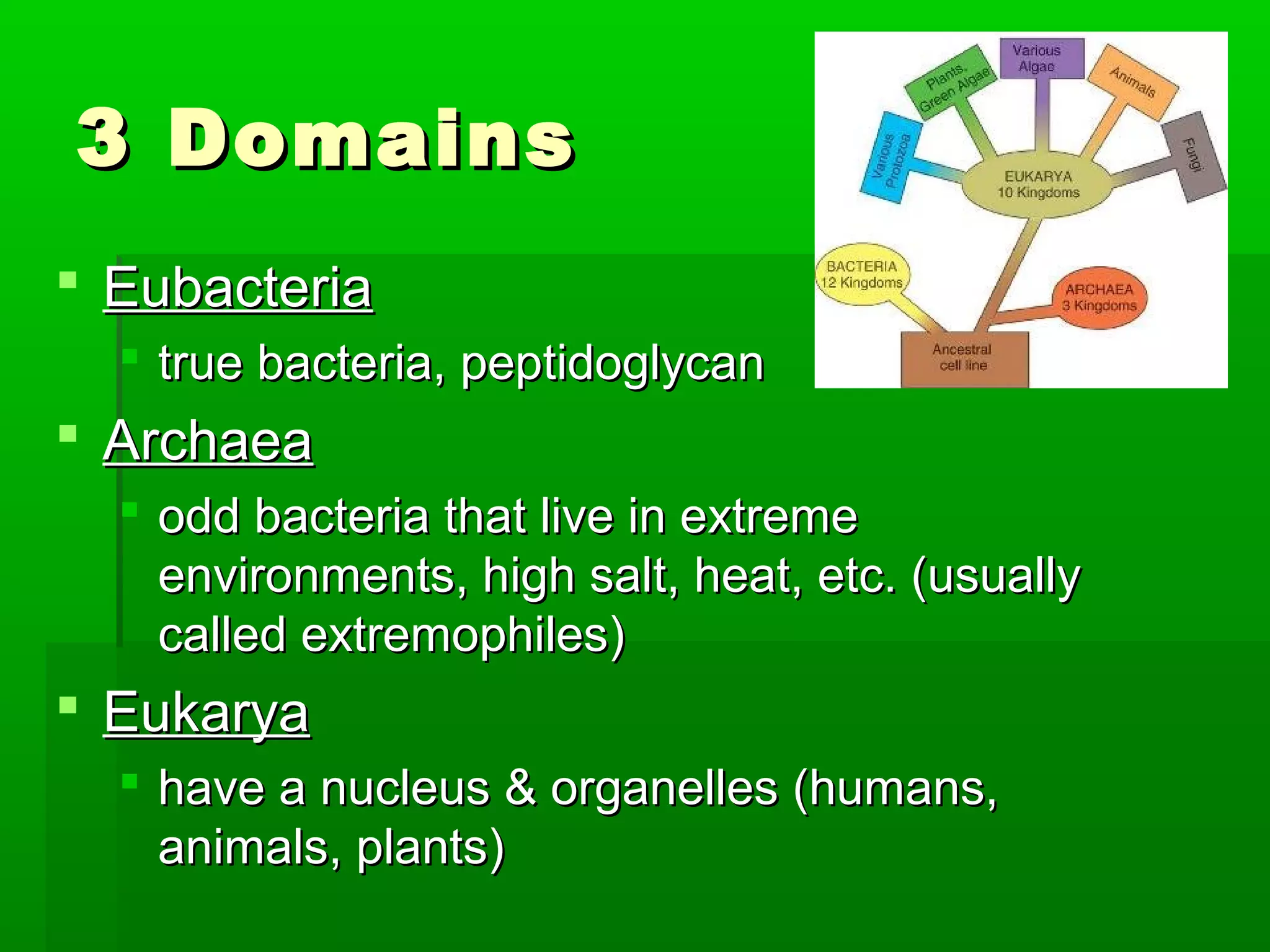 3 classification of microorganisms | PPT