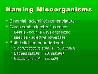 3 classification of microorganisms | PPT