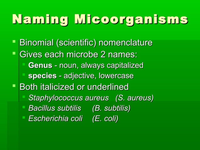 3 classification of microorganisms | PPT