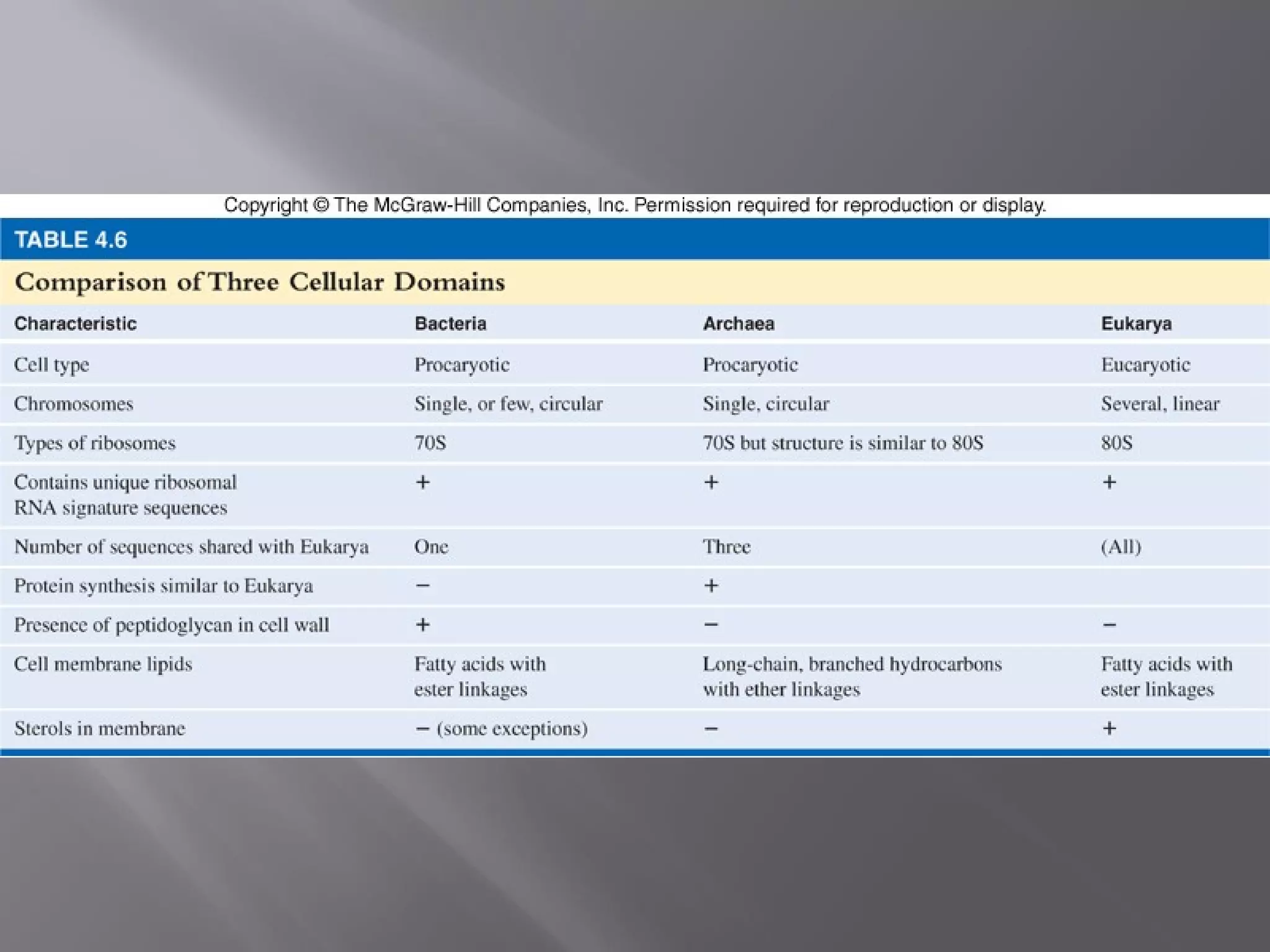 classification of microorganisms | PPT