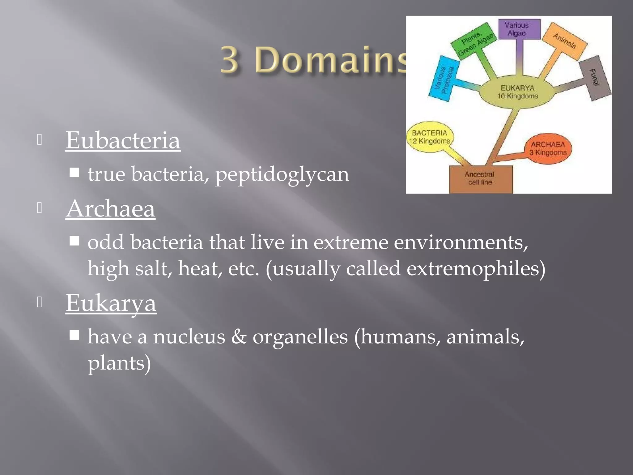 classification of microorganisms | PPT | Biological Sciences | Science