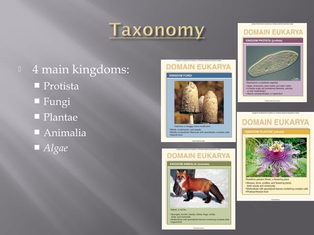 classification of microorganisms | PPT | Biological Sciences | Science