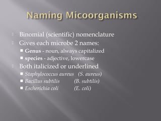 classification of microorganisms | PPT