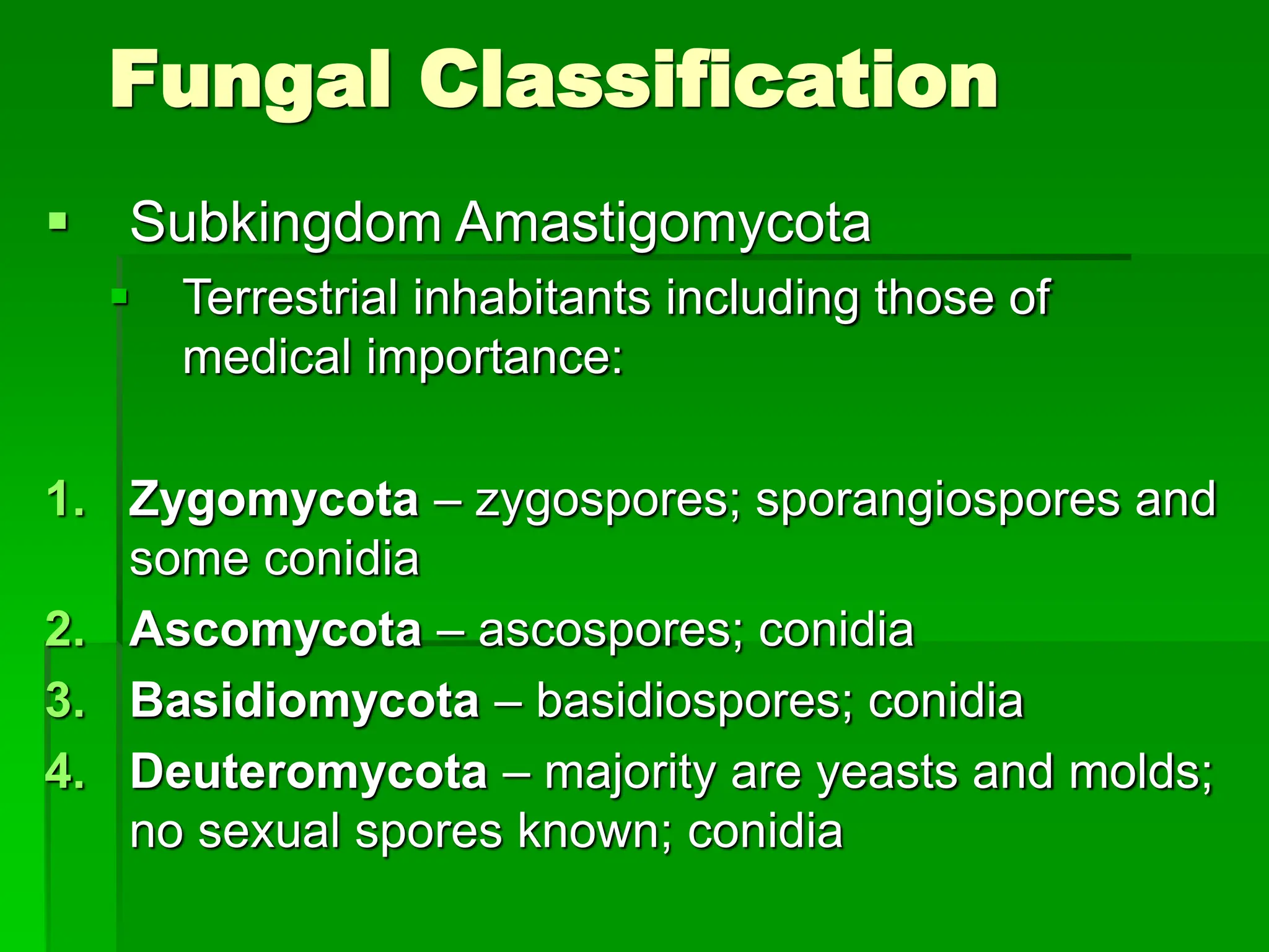 3 - Classification of Microorganisms.ppt