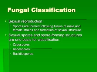 3 - Classification of Microorganisms.ppt